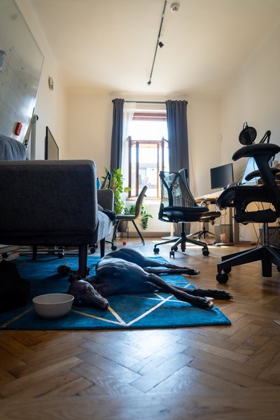 Moving to a New Office in Vinohrady | polygoniq